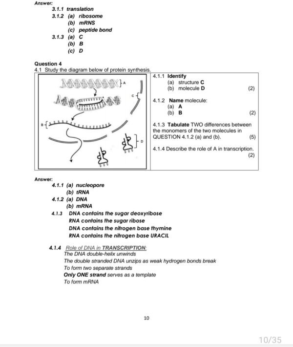 Grade 12 Life Science Summaries and Revision Paper 2 - TeacherHQ