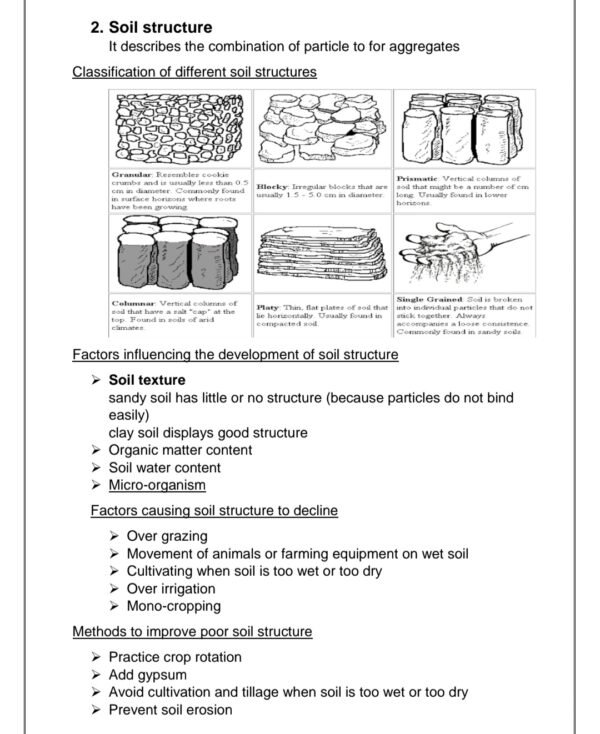 Grade 11 Agricultural Sciences Notes and Activities - TeacherHQ